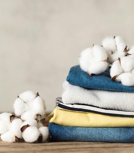 Le Coton, une fibre naturelle incontournable